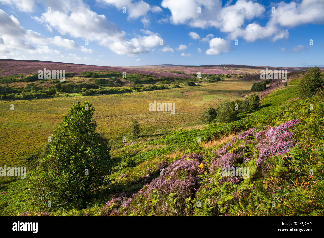 Yorkshire national trust hi-res stock photography and images - Alamy