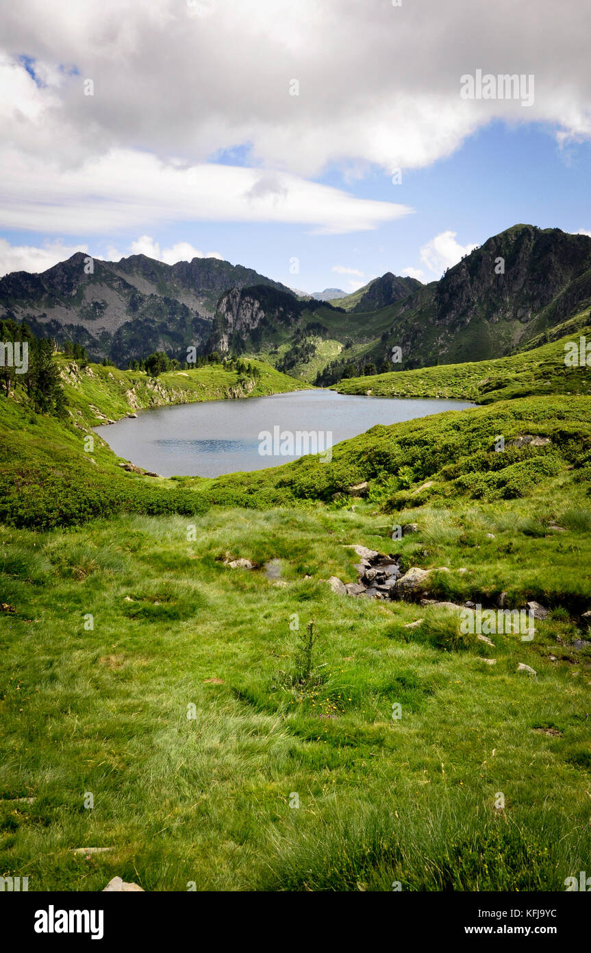 Lake and Greenery during Hiking in the Pyrenees Stock Photo - Alamy