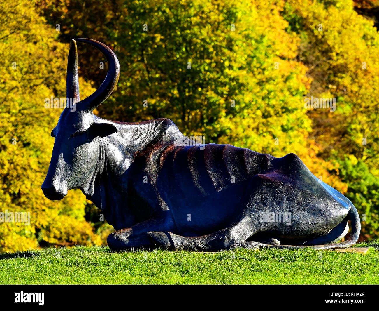 Durham City Durham Cow bronze sculpture by Andrew Burton on the river ...