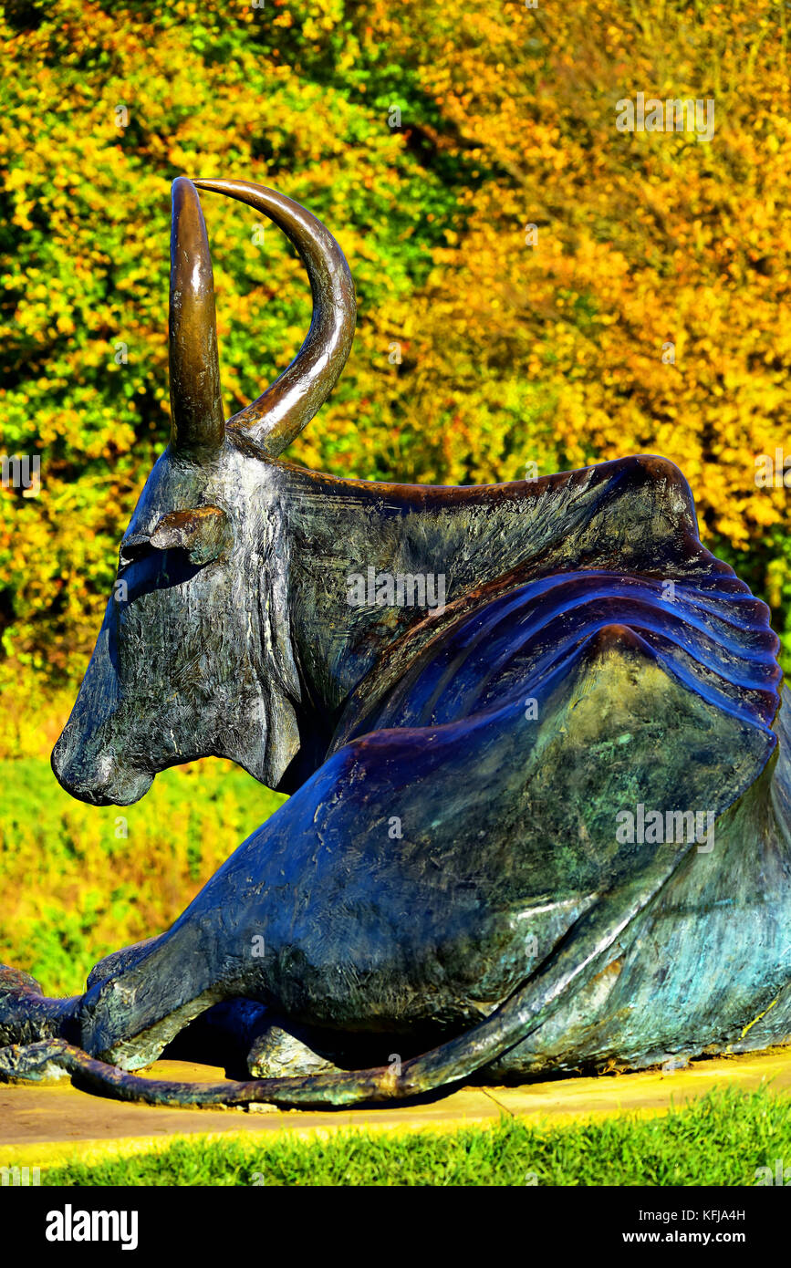 Durham City Durham Cow by Andrew Burton on the river Wear by the ...