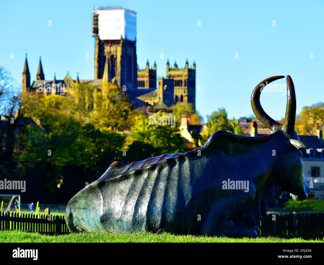 Durham Cathedral Durham Cow bronze sculpture by Andrew Burton on the ...