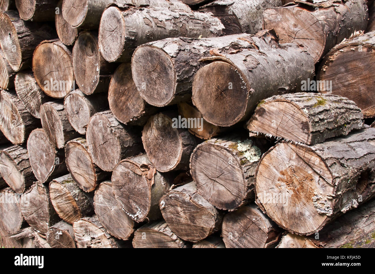 Uneven logs hi-res stock photography and images - Alamy