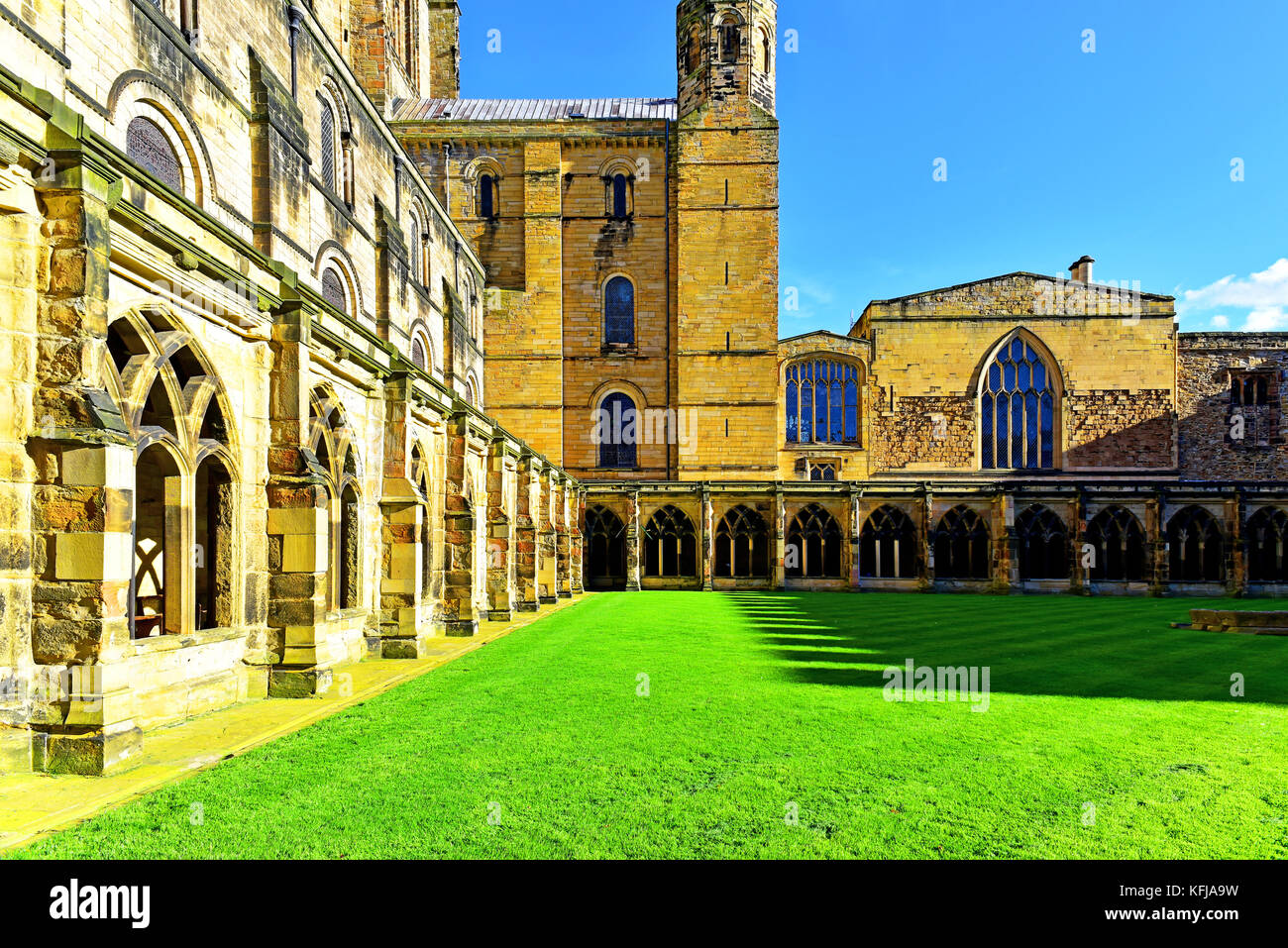 Durham cow sculpture hi-res stock photography and images - Alamy