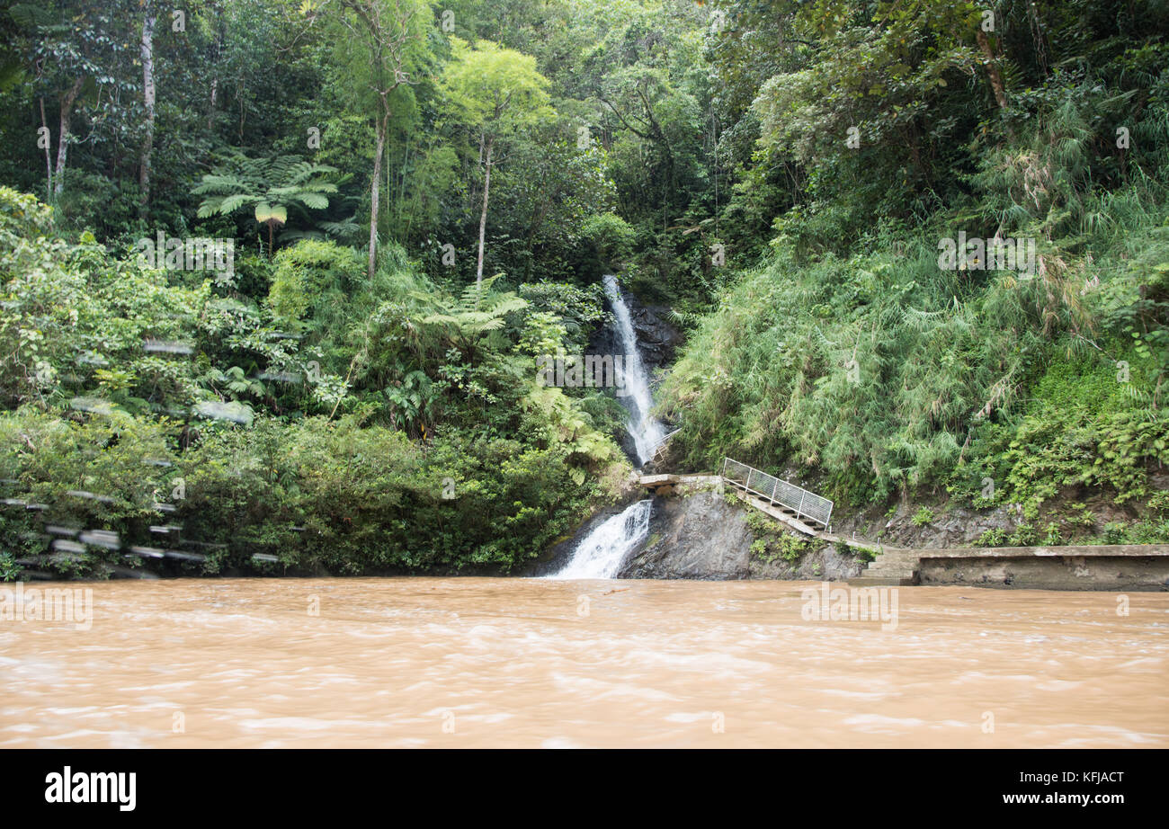 Cascading waterfall surrounded by lush, rainforest flora along the ...