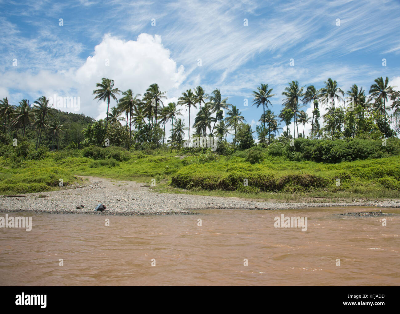 Lush tropical greenery along the Navua River under a blue sky with ...