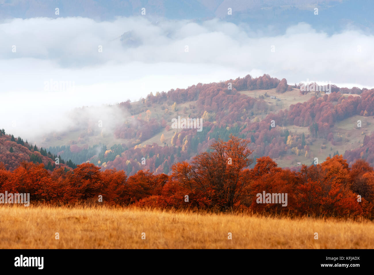 Fantastic nature landscape hi-res stock photography and images - Alamy