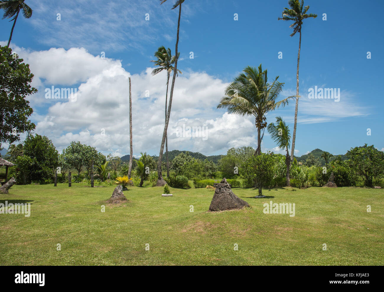 Greenery wind tropical hi-res stock photography and images - Alamy