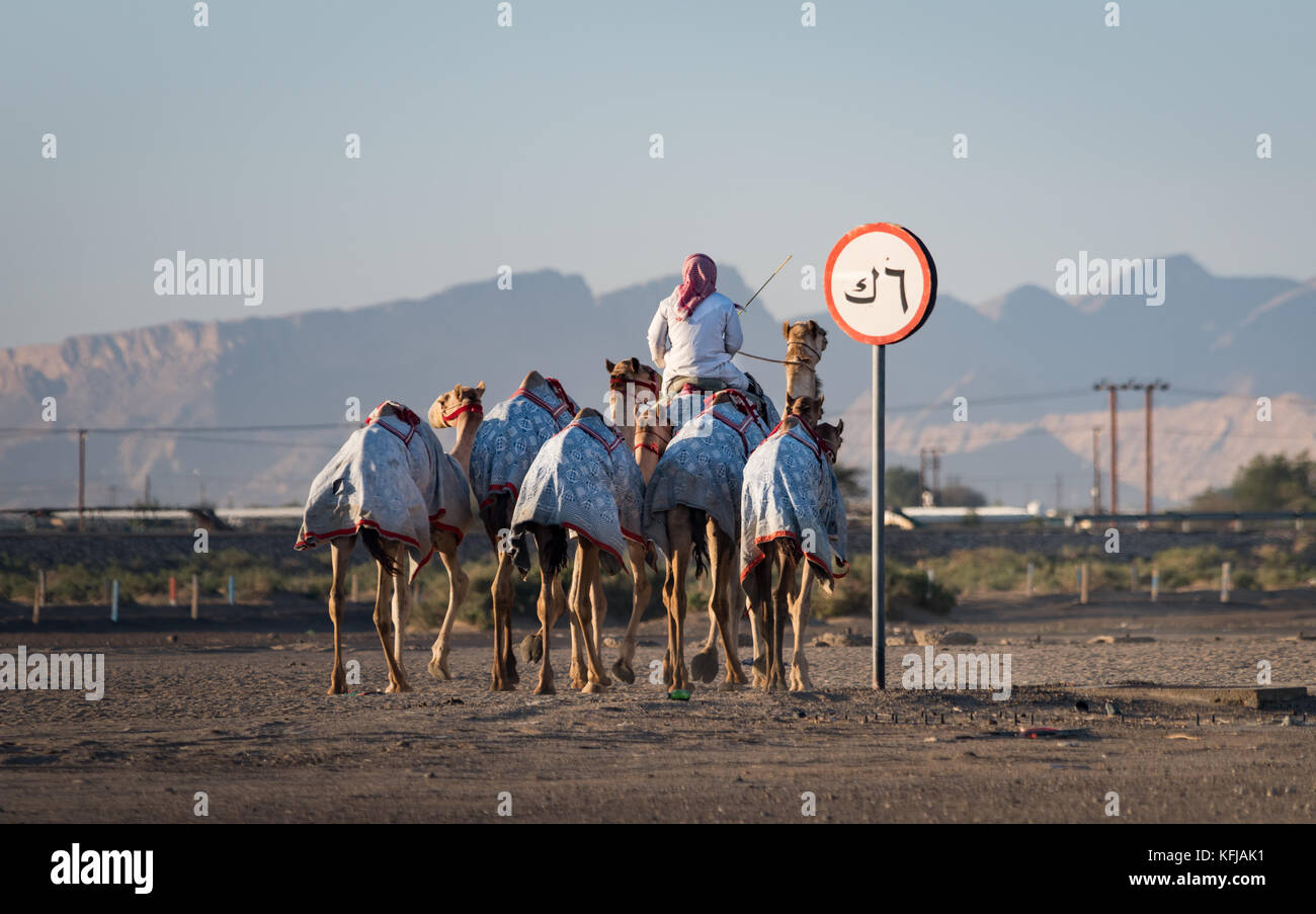 Mezyad uae hi-res stock photography and images - Alamy