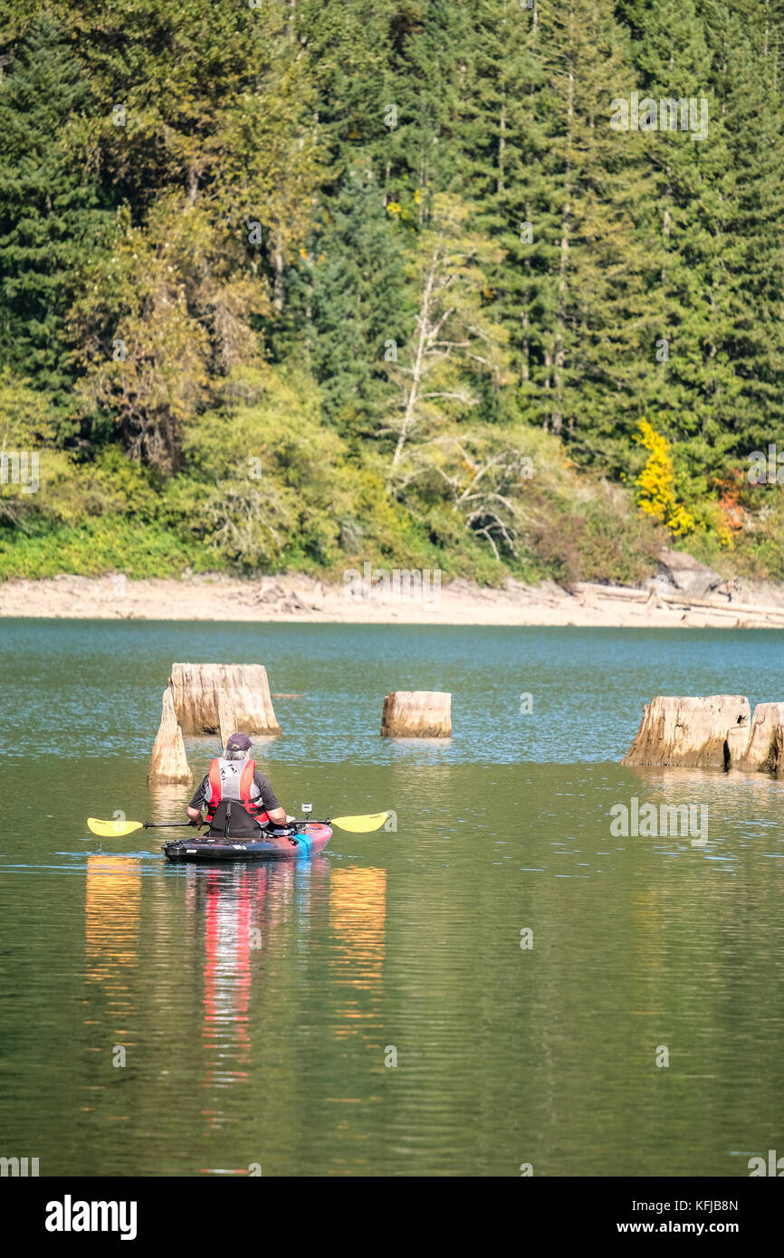 A man kayaking on calm water between dead tree stumps above water in ...
