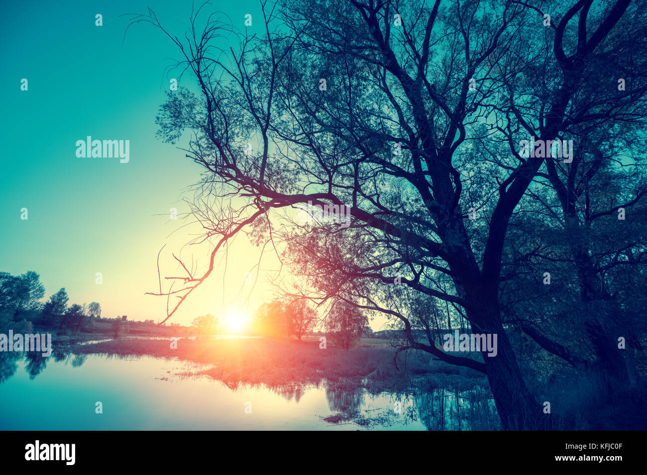 Early morning, sunrise over the lake. Rural landscape, wilderness. Tree ...