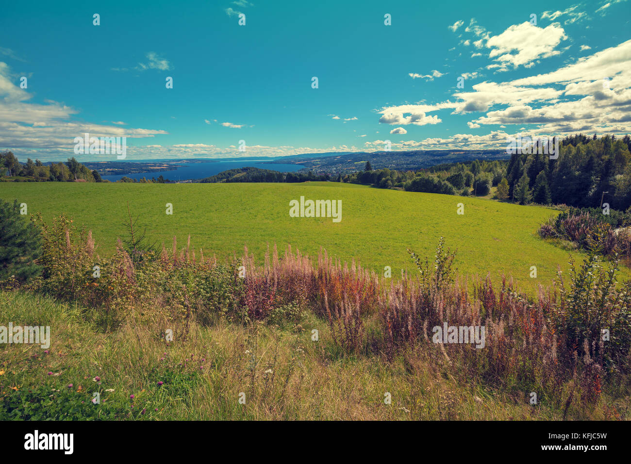 Panoramic view of the fjord. View of of the vicinities of the Gjovik ...