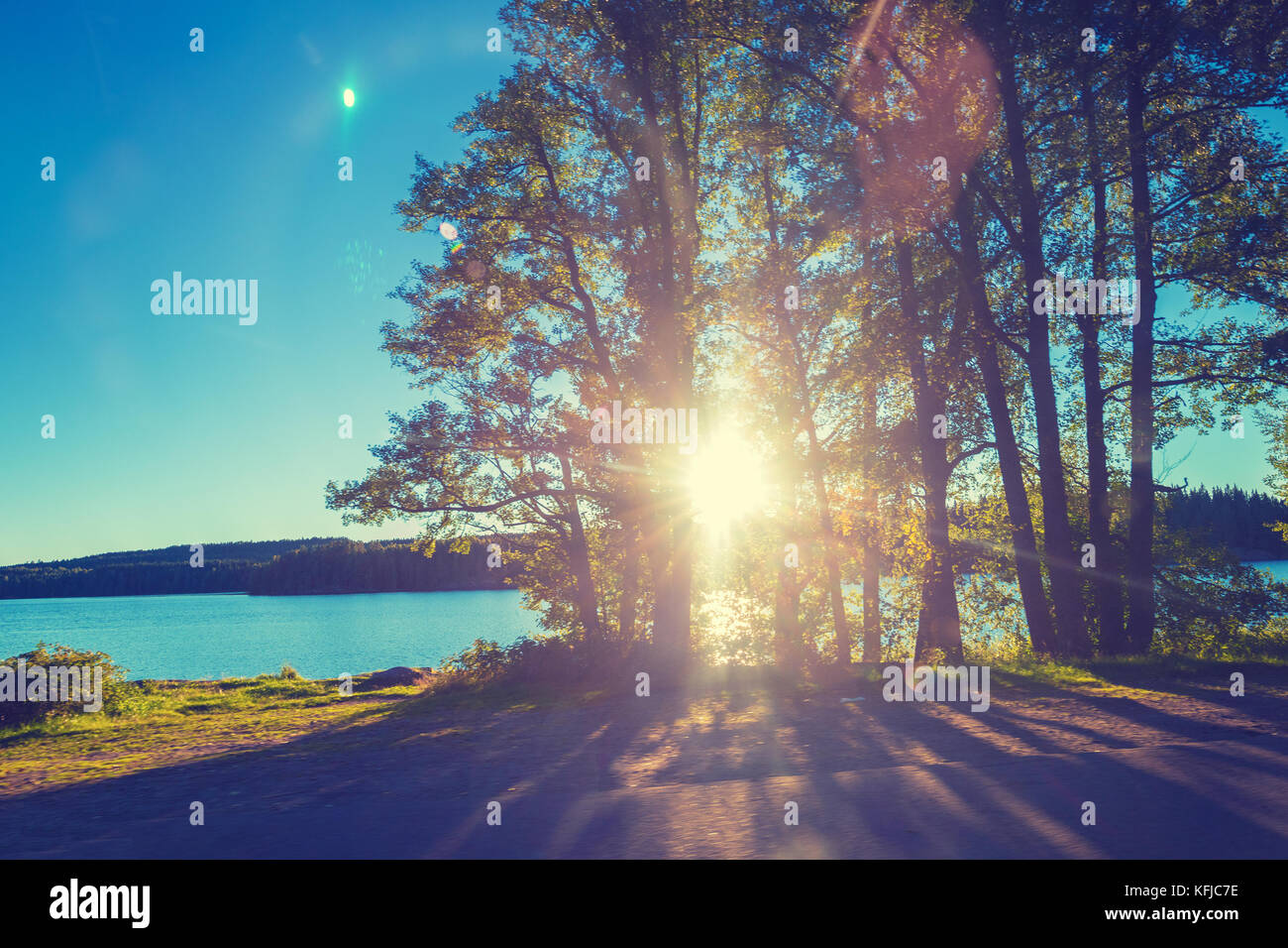 Lakeshore with trees at sunset. Beautiful nature Finland Stock Photo ...