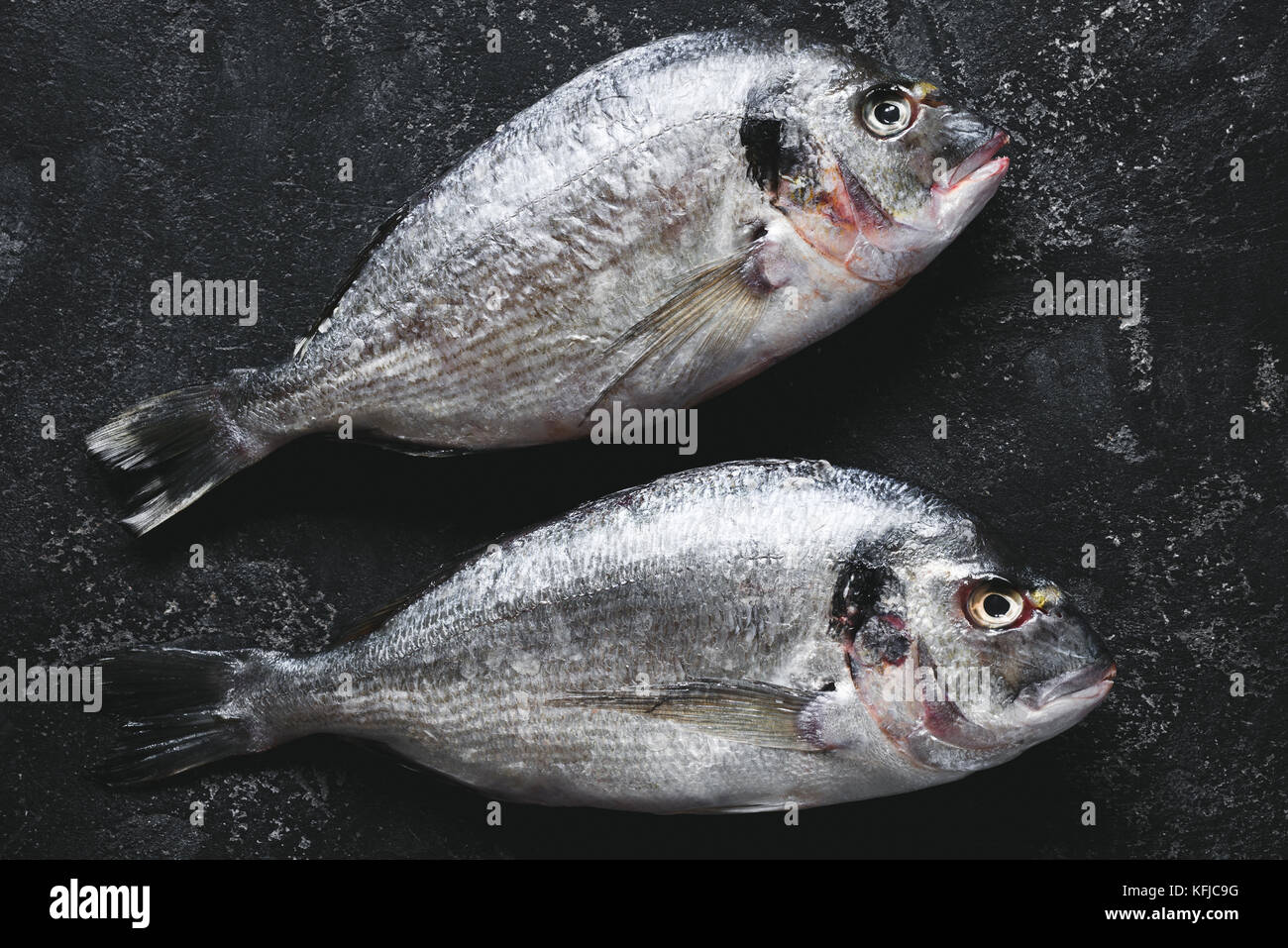Two fresh sea bream or dorado fish on stone table. Closeup view Stock ...