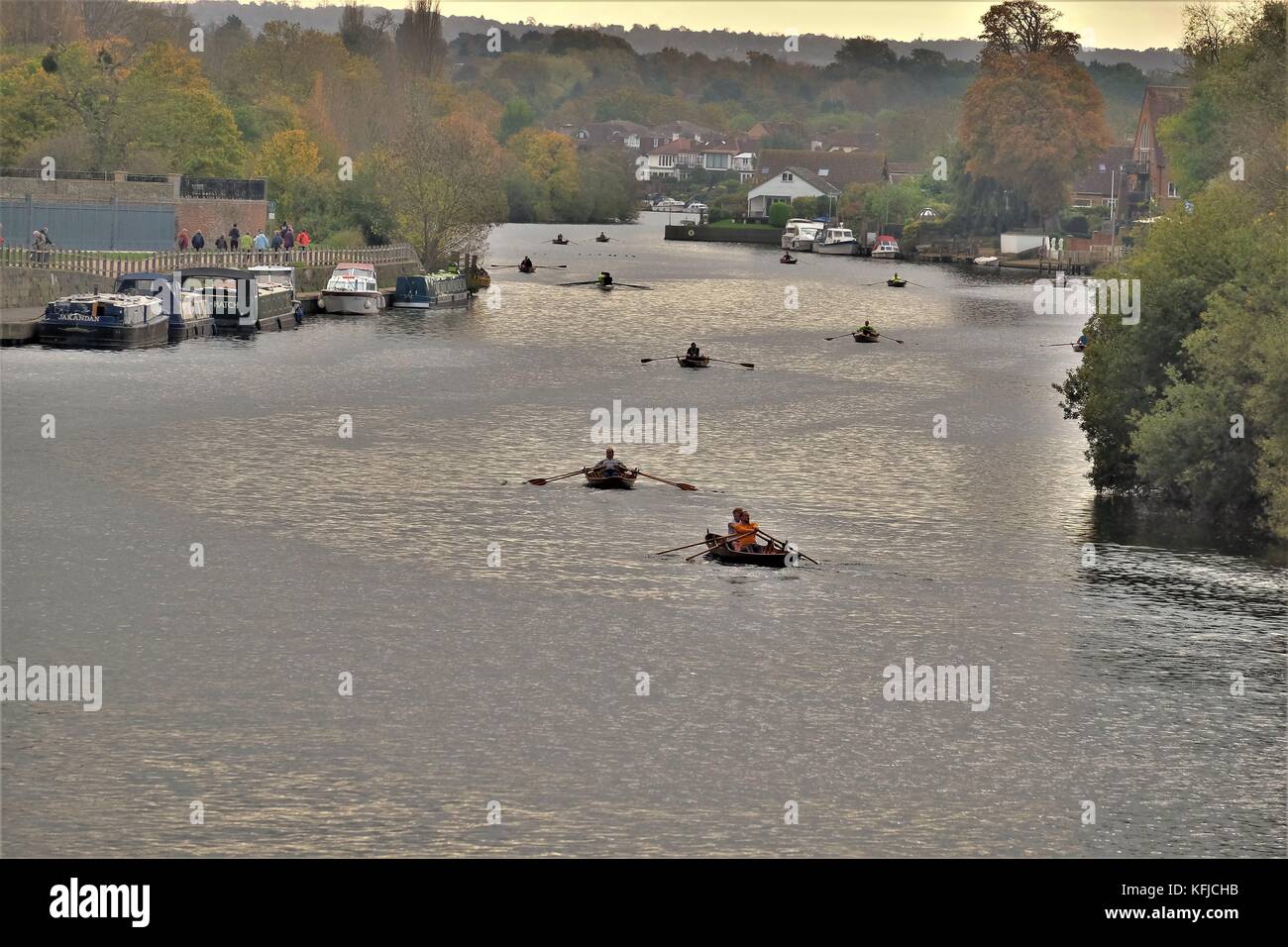 skiff rowers on the thames river at hampton court Stock Photo - Alamy