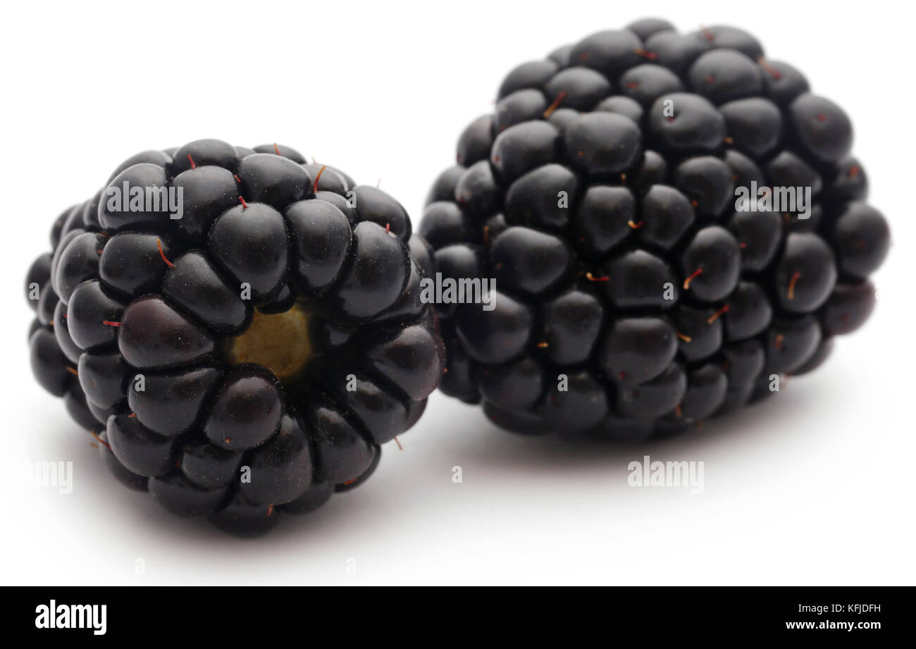 Fresh blackberries over white background Stock Photo - Alamy