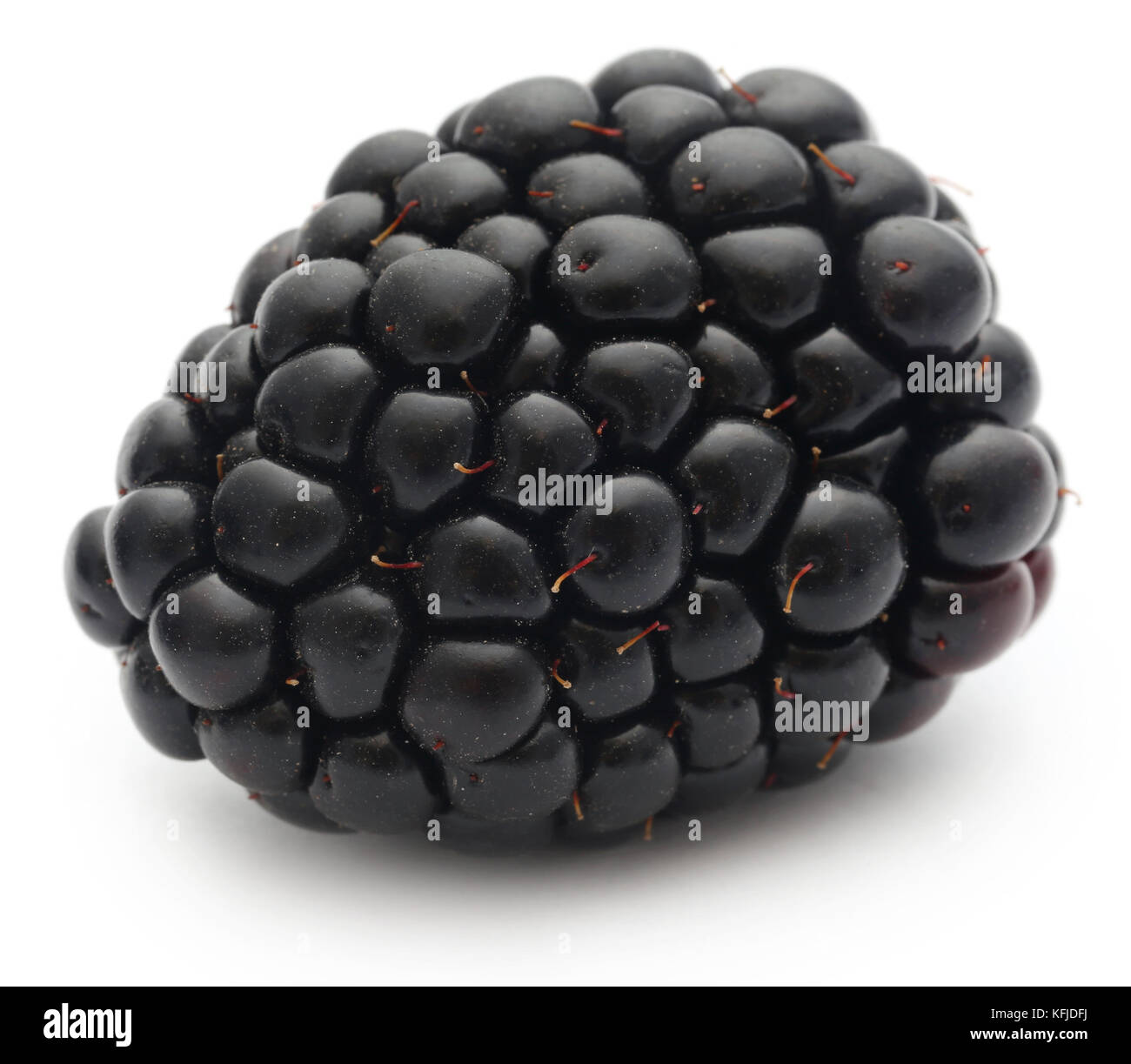 Fresh blackberries over white background Stock Photo - Alamy