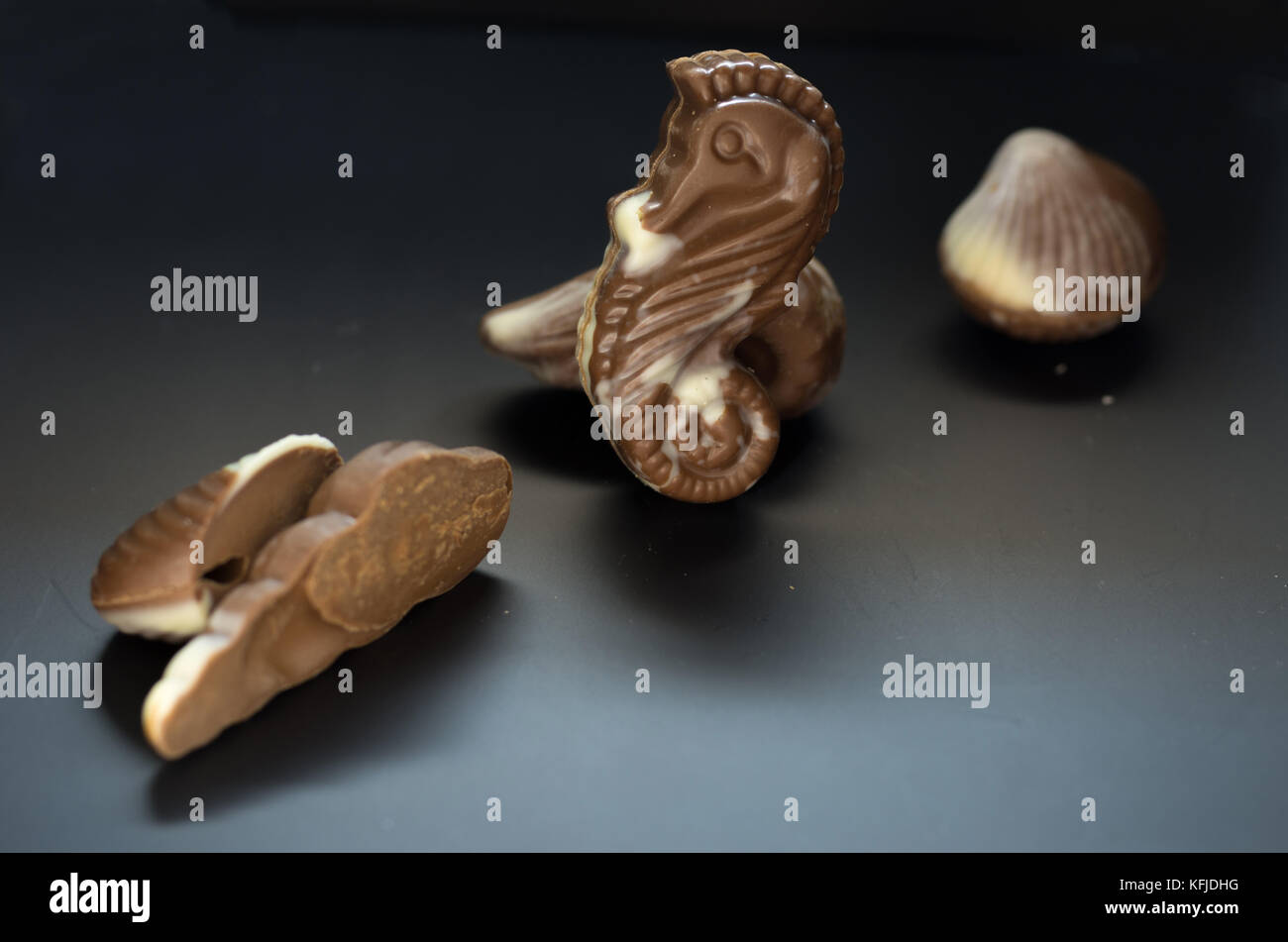 Chocolate sweets in the form of sea shells and sea horses. Black ...