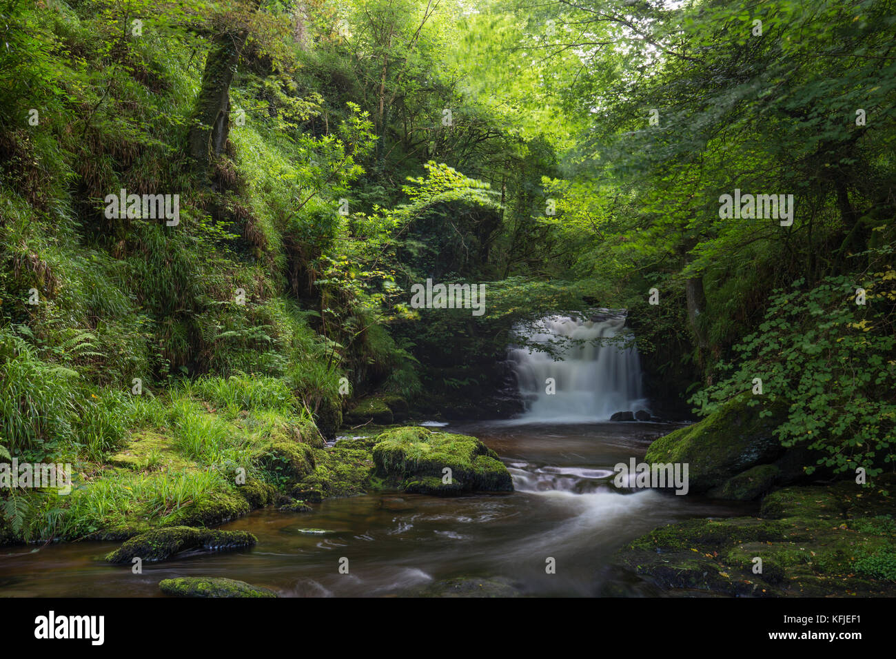 Waterfall on Hoaroak water, Watersmeet, Devon Stock Photo - Alamy