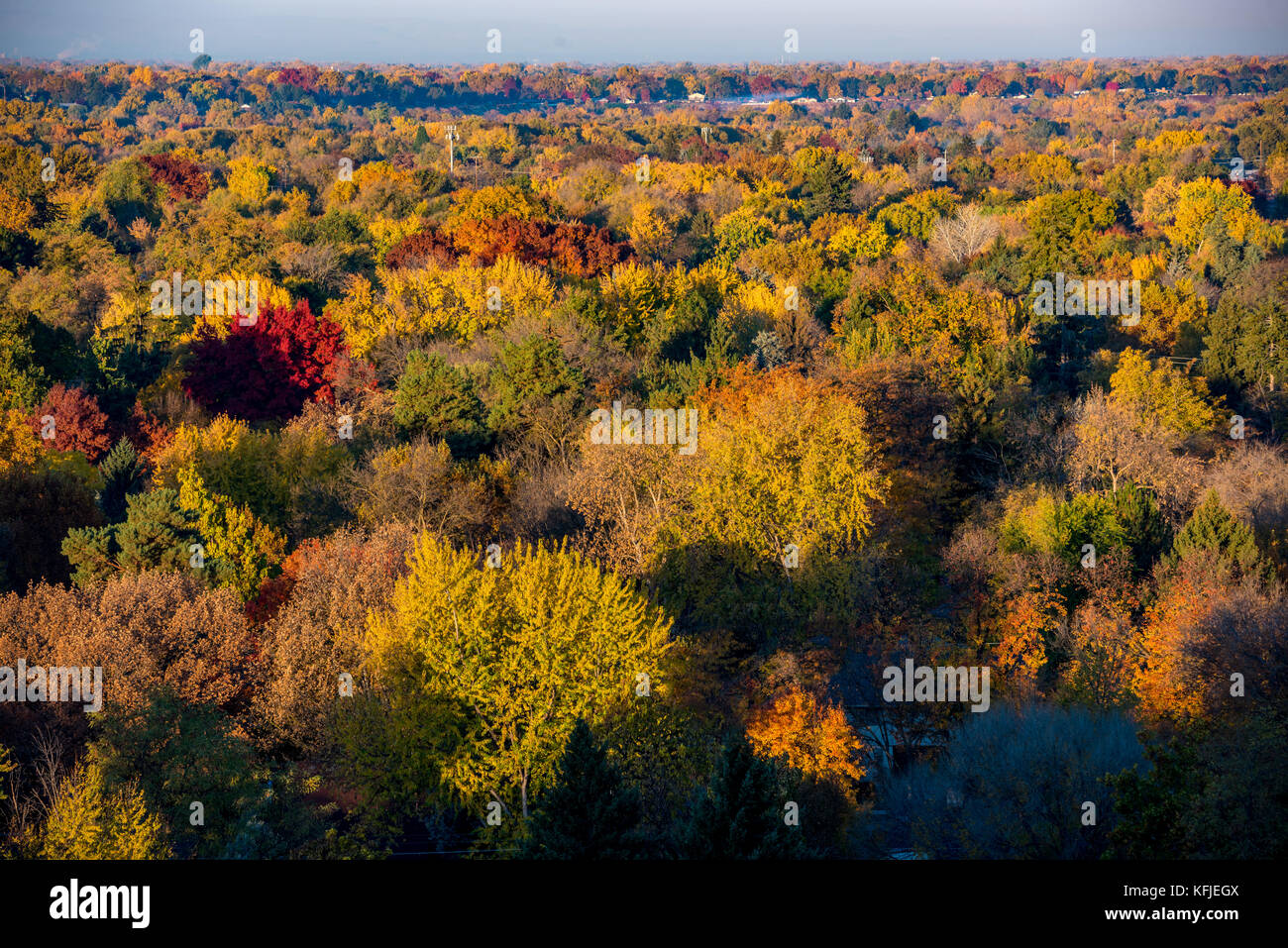 City filled with fall colored trees that fills the frame Stock Photo ...