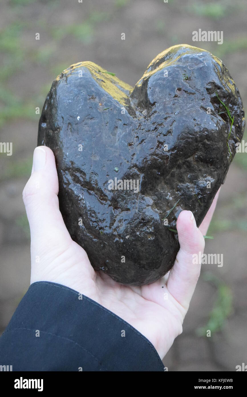 Heart shape rock Stock Photo - Alamy
