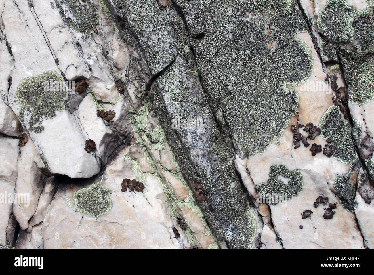 Formation of rock and quartz hi-res stock photography and images - Alamy