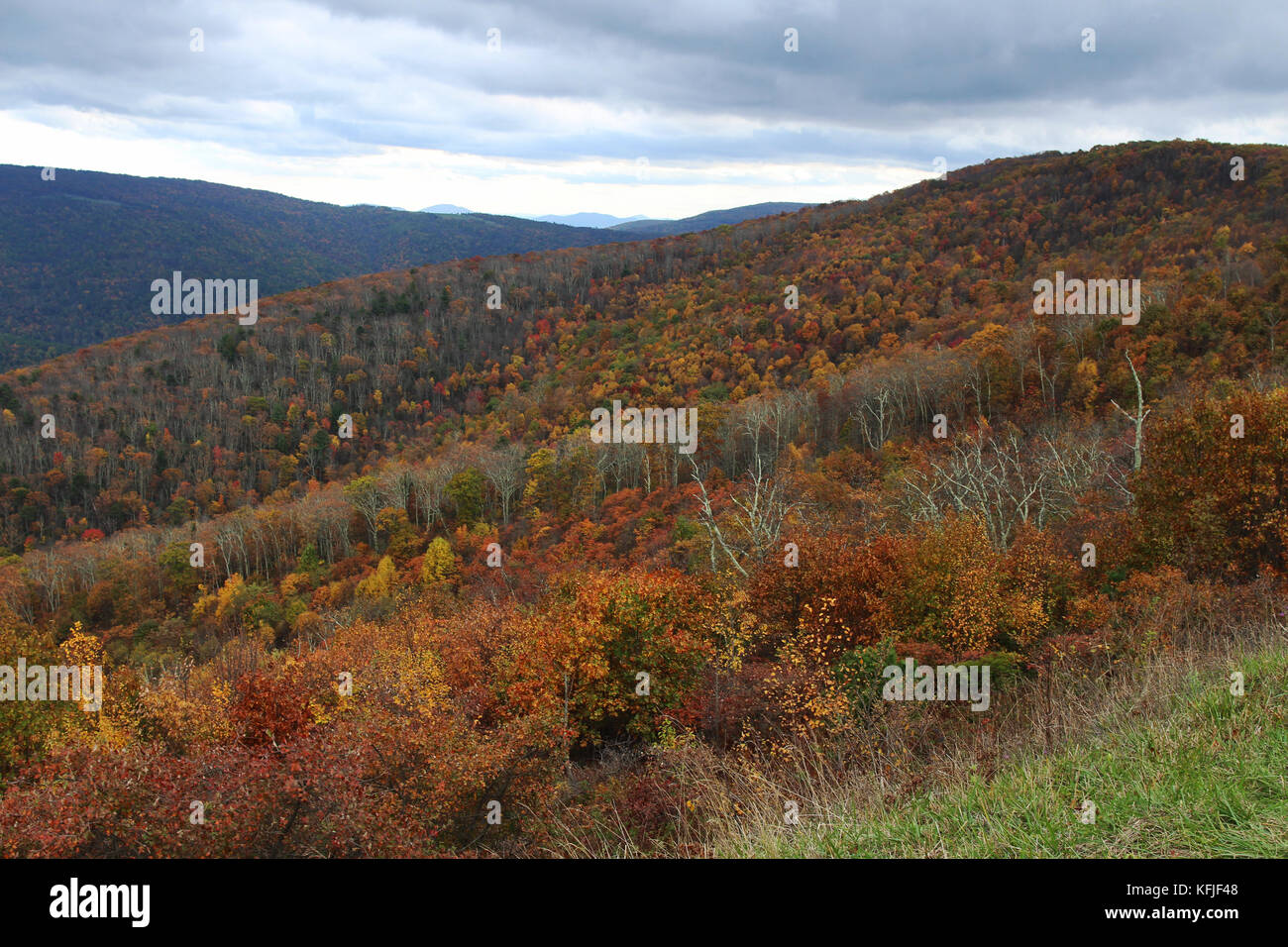 Shenandoah skyline drive fall hi-res stock photography and images - Alamy