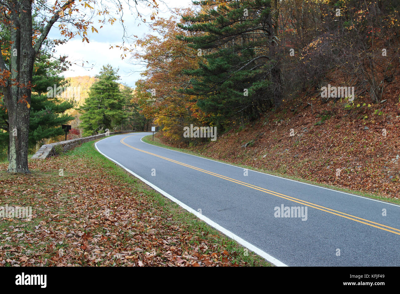 A winding road in the fall forest, Skyline Drive in Shenandoah National ...