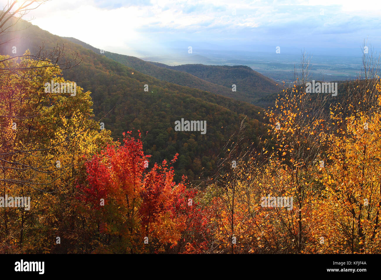 A mountain landscape with colorful trees in the fall. A view in the ...