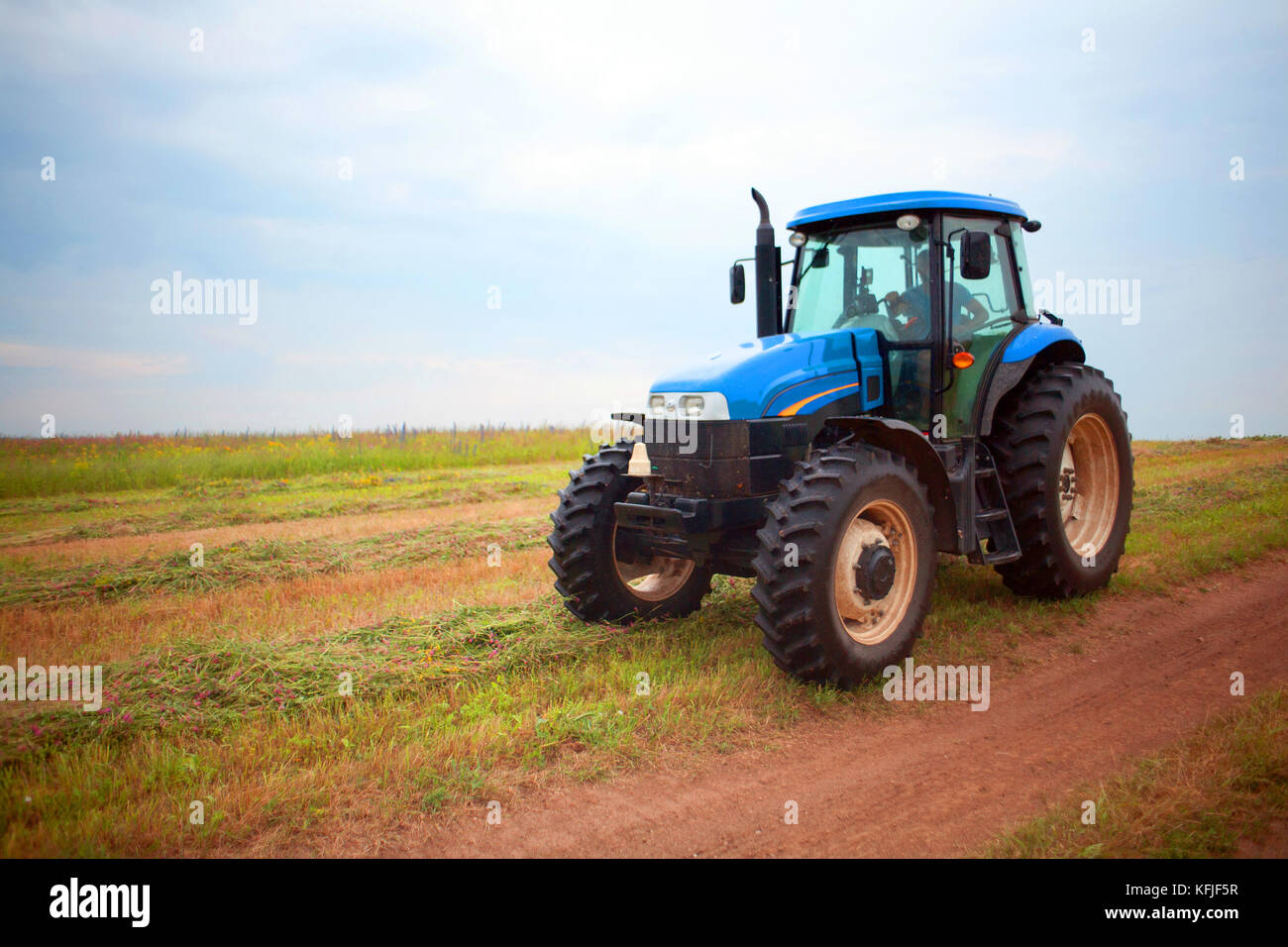 Tractor of blue color standing in summer in grass field Stock Photo - Alamy