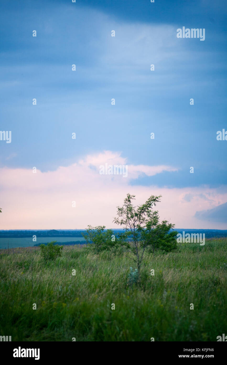 rural landscape green grass and trees Stock Photo - Alamy