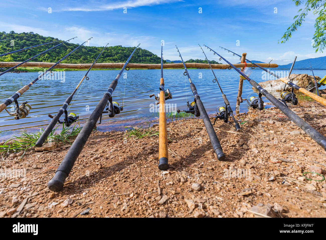 Fishing rods in Bang Phra lake in Thailand Stock Photo - Alamy