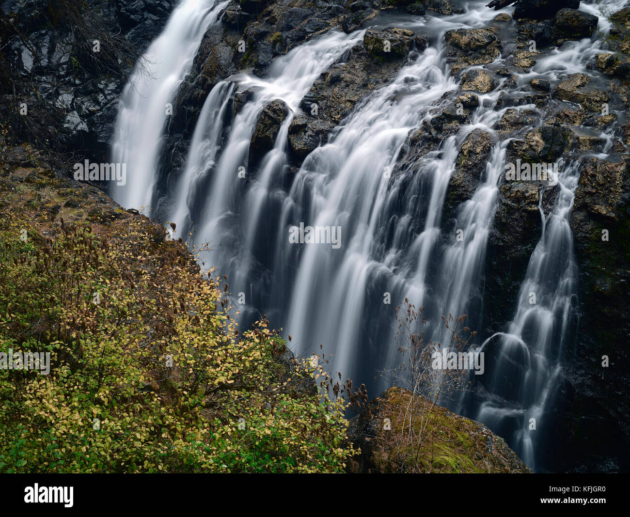 Nature scenery of cascading waterfall in Englishman River Falls ...