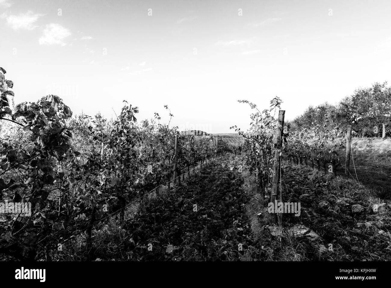 First person perspective Black and White Stock Photos & Images - Alamy