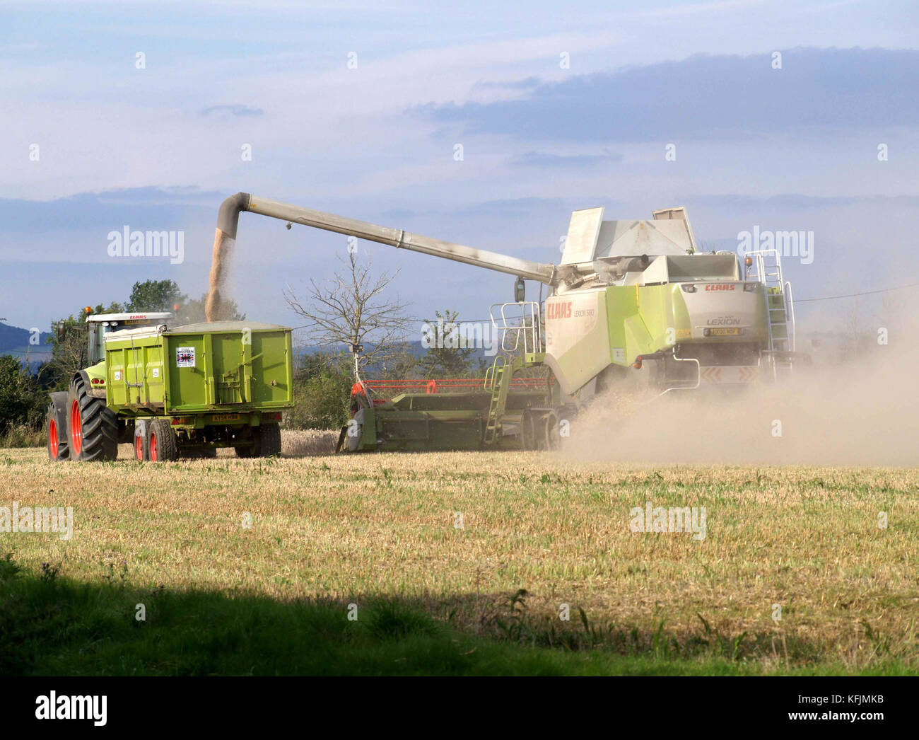 Combine Harveste, tractor and trailer at work in field in Bosham ...