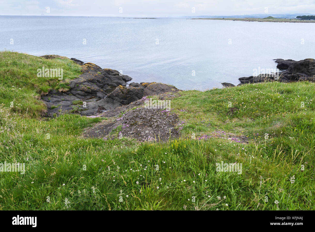 shorelines landscape on shell bay Stock Photo - Alamy