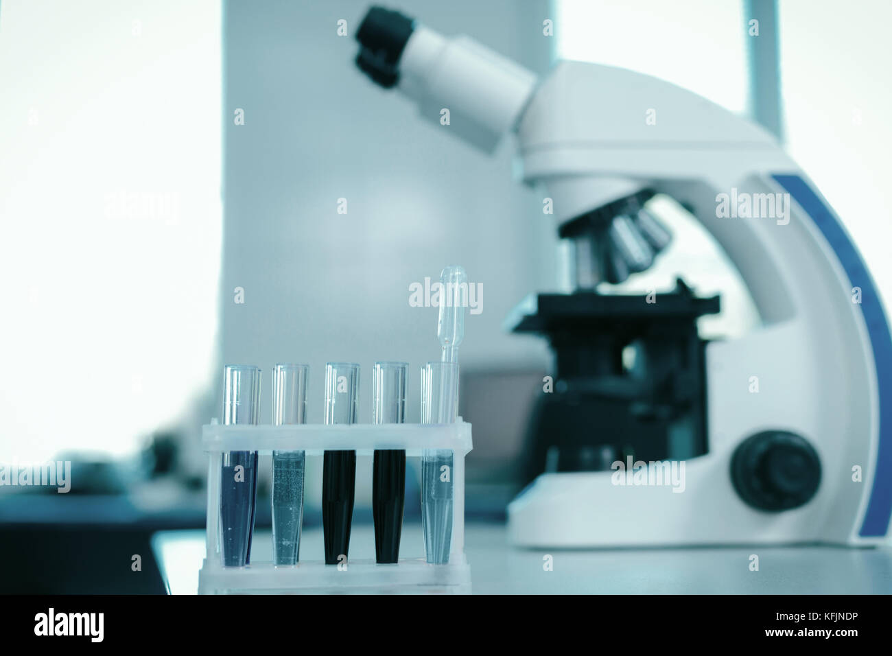 Detailed picture of test tubes that standing on support Stock Photo - Alamy