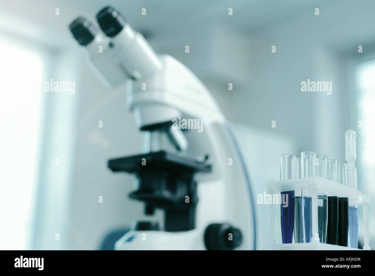 Close up of plastic support for test tubes Stock Photo - Alamy