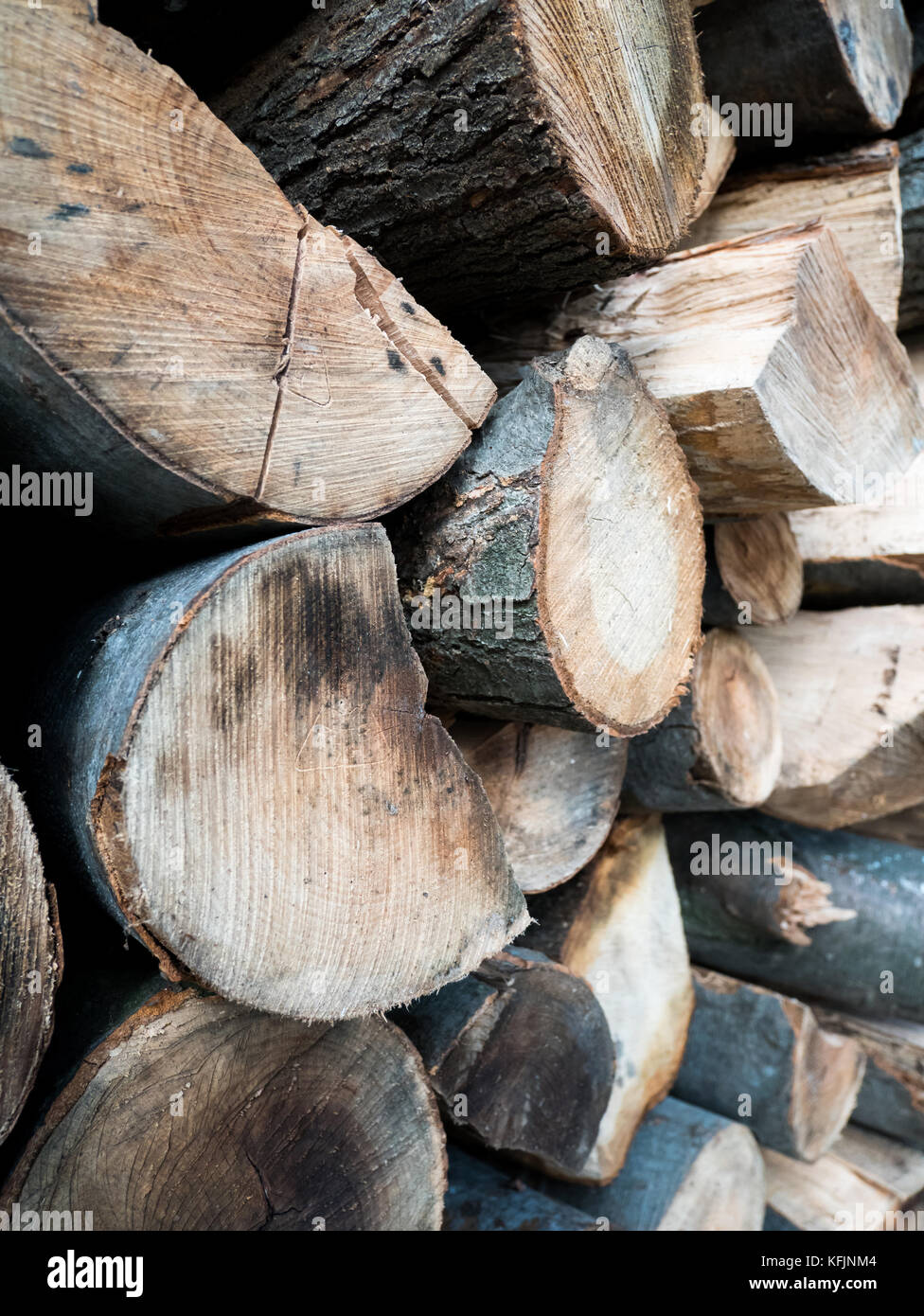 Wood logs close up outdoor Stock Photo - Alamy