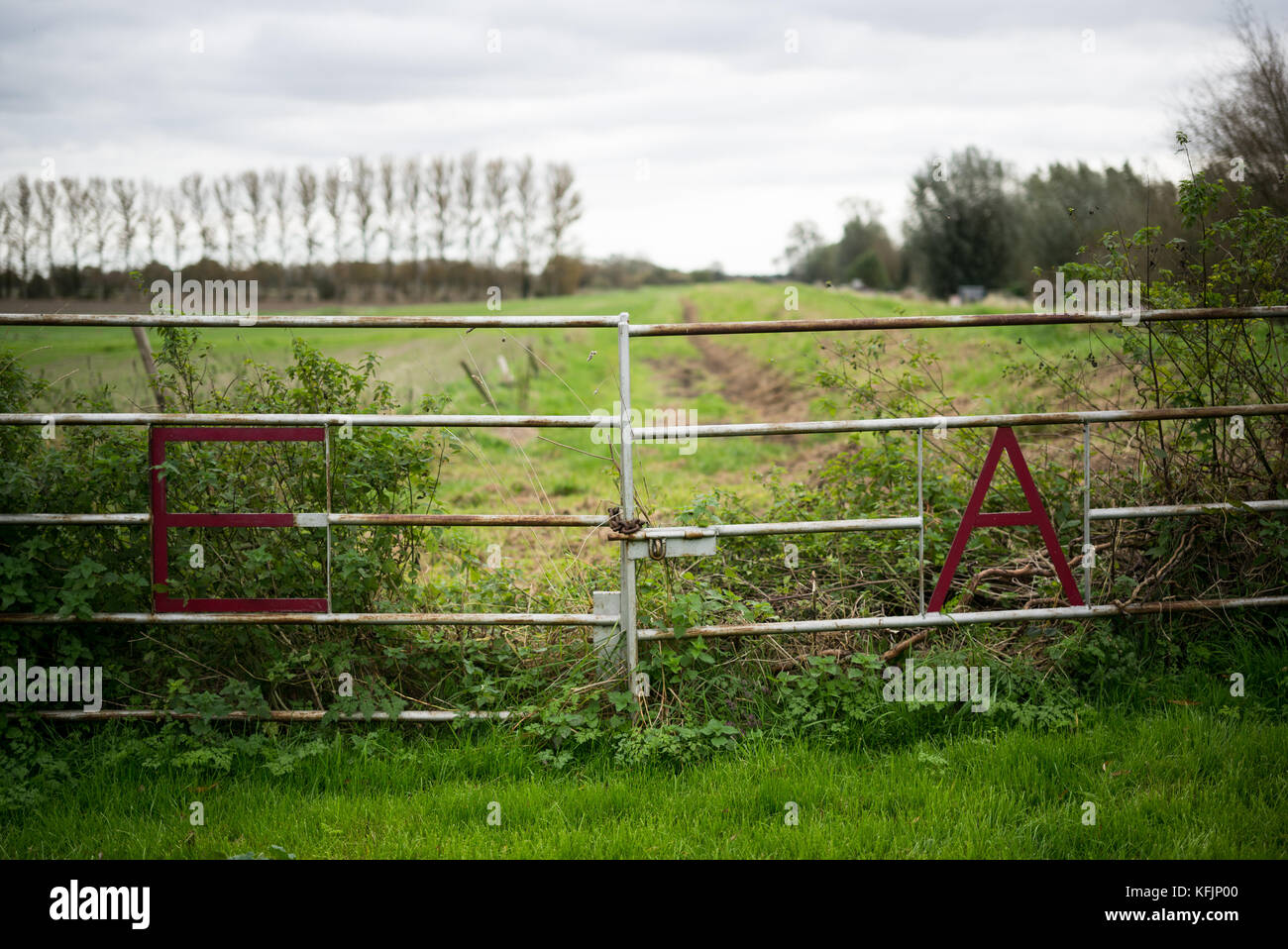 Environment Agency gates Stock Photo - Alamy