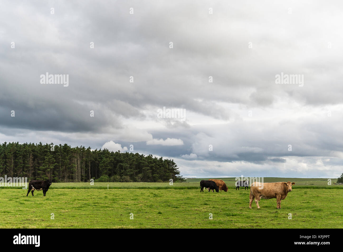 thurso countryside landscape Stock Photo - Alamy