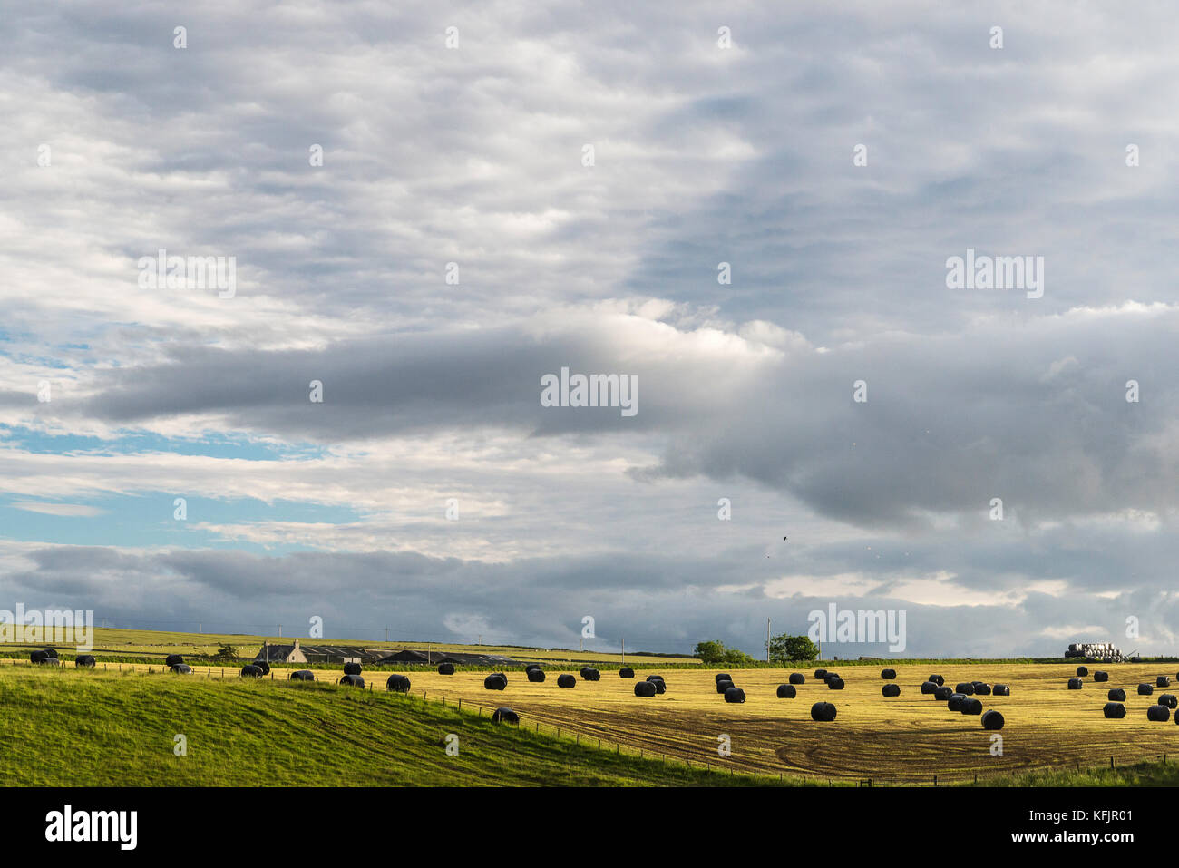 thurso countryside landscape Stock Photo - Alamy