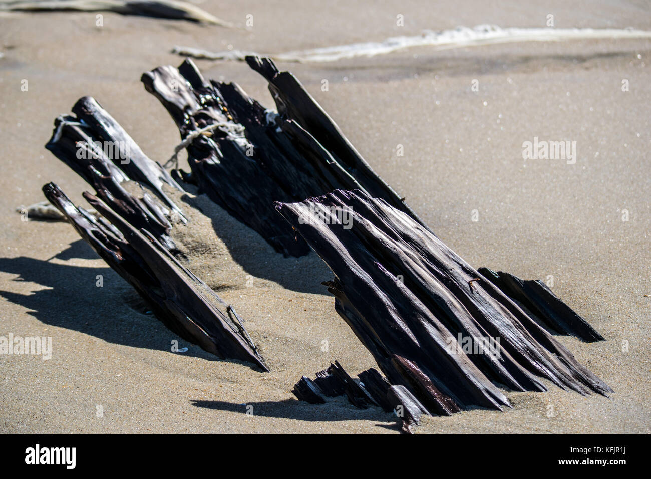 Drift wood on the beach Stock Photo - Alamy