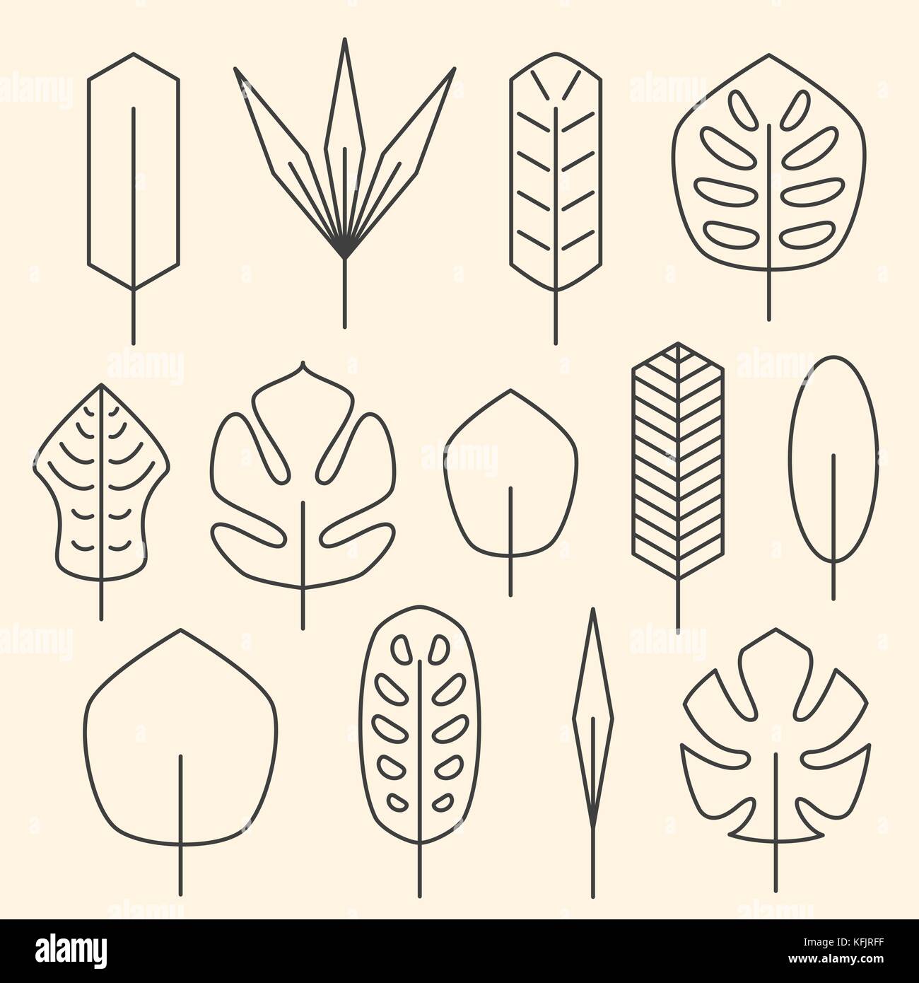 Minimalistic linear palm leaf set on beige background Stock Vector ...