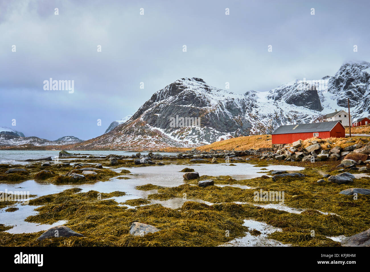 Red rorbu house and fjord in Norway Stock Photo - Alamy