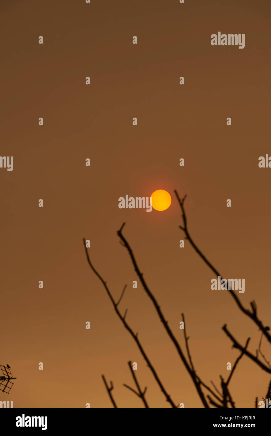 Sun in orange glowing sky, caused by sand and dust particles in ...