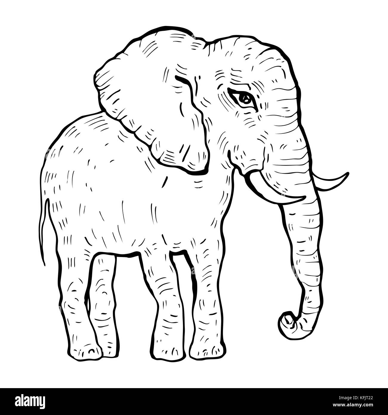Elephant. Hand drawn Vector illustration, White background Stock Vector ...