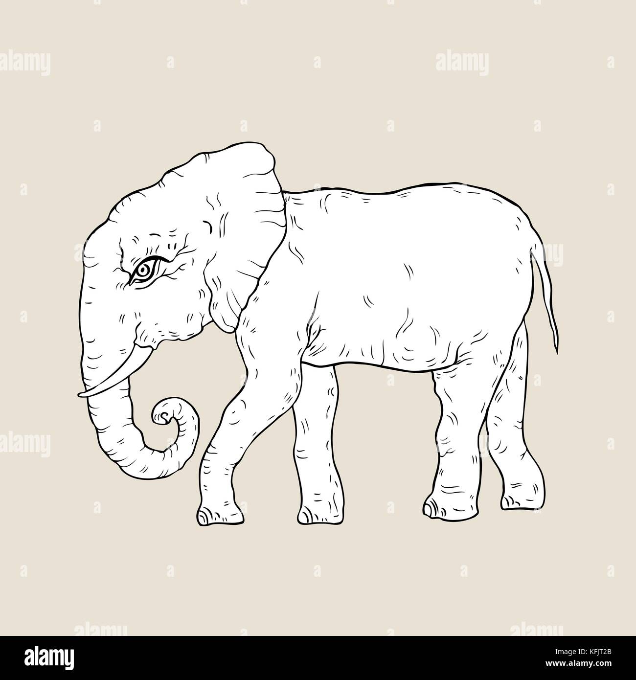 Elephant. Hand drawn Vector illustration, White background Stock Vector ...