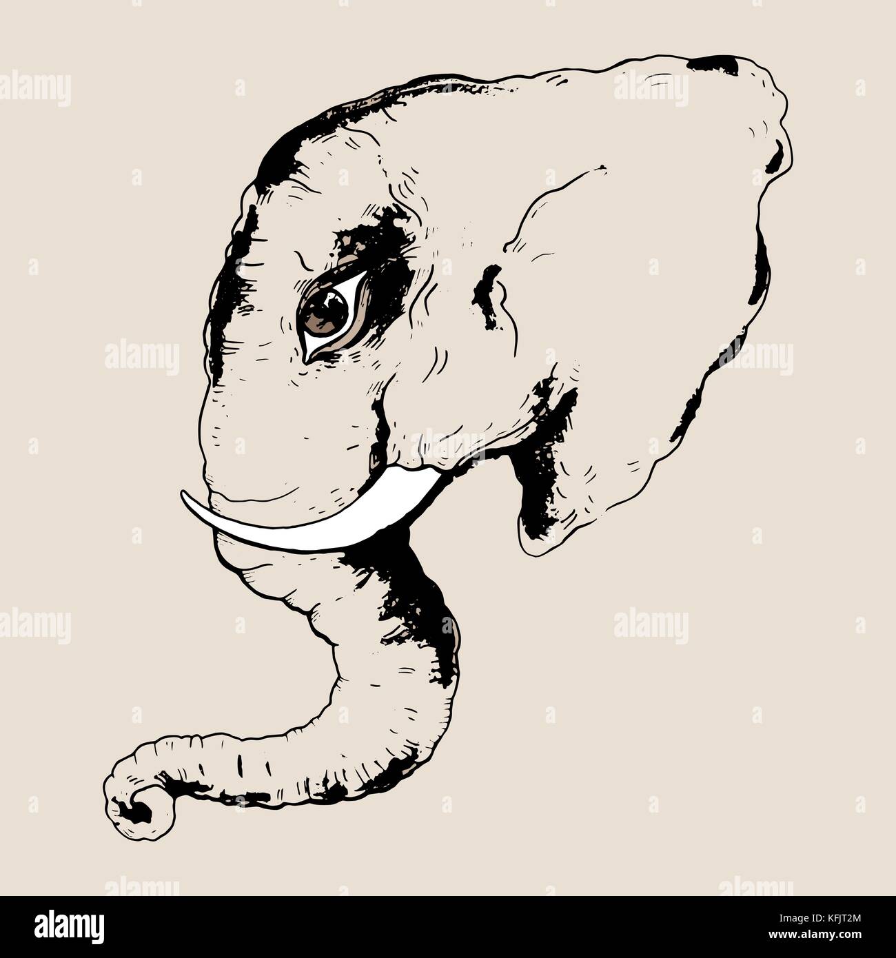 Head of elephant. Hand drawn Vector illustration Stock Vector Image ...