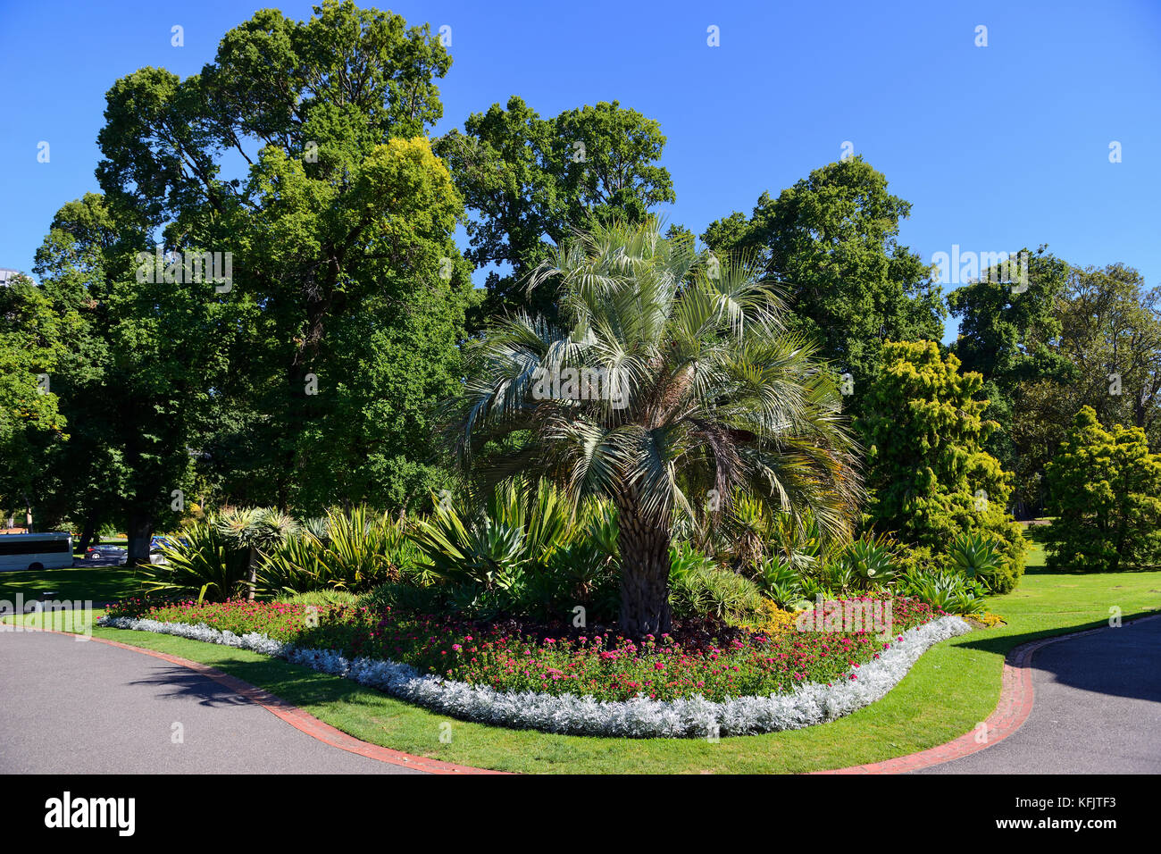 Melbourne flower hi-res stock photography and images - Alamy