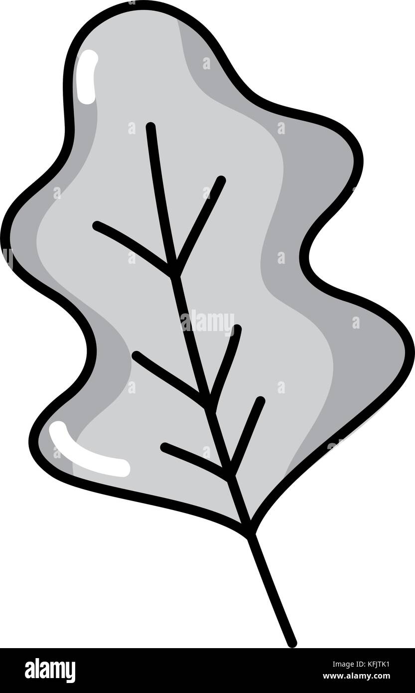 grayscale herb spice ingredient food taste Stock Vector Image & Art - Alamy